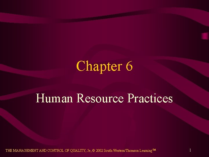 Chapter 6 Human Resource Practices THE MANAGEMENT AND