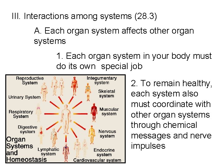 UNIT 6 HUMAN BIOLOGY Chapter 28 Human Systems