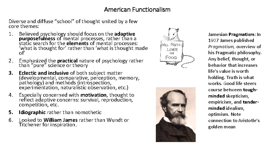 American Functionalism Diverse and diffuse school of thought