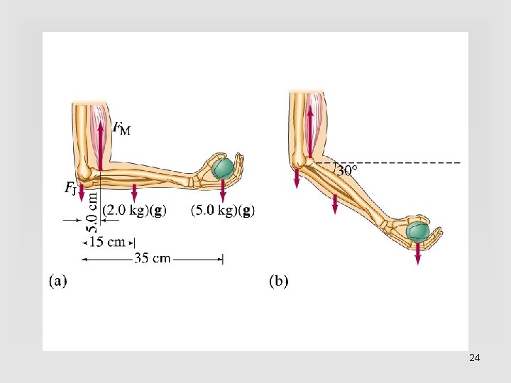Statics Elasiticity 1 Introduction Statics a special case