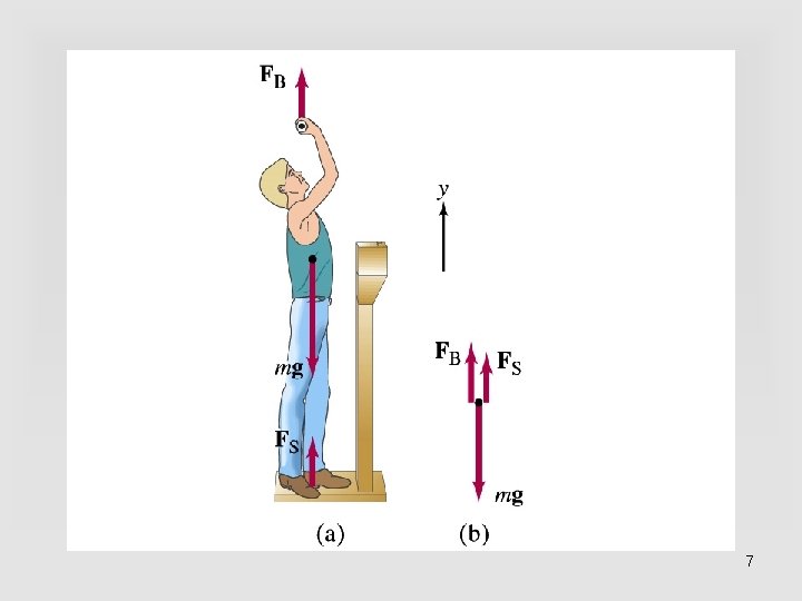 Statics Elasiticity 1 Introduction Statics a special case