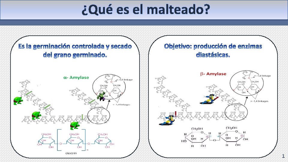 Qu es el malteado 1 Malteo del cereal