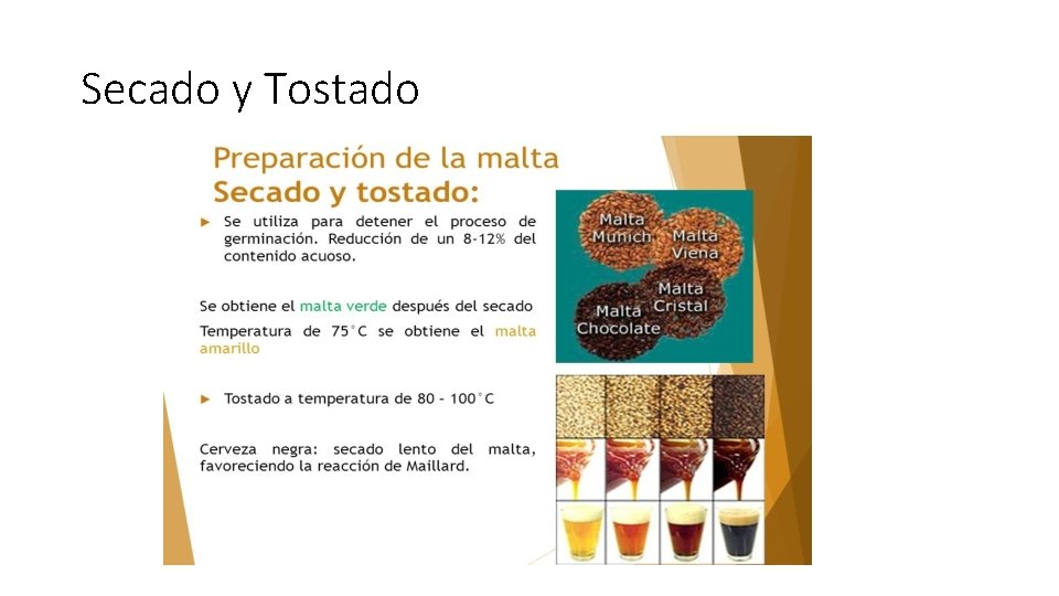 Qu es el malteado 1 Malteo del cereal