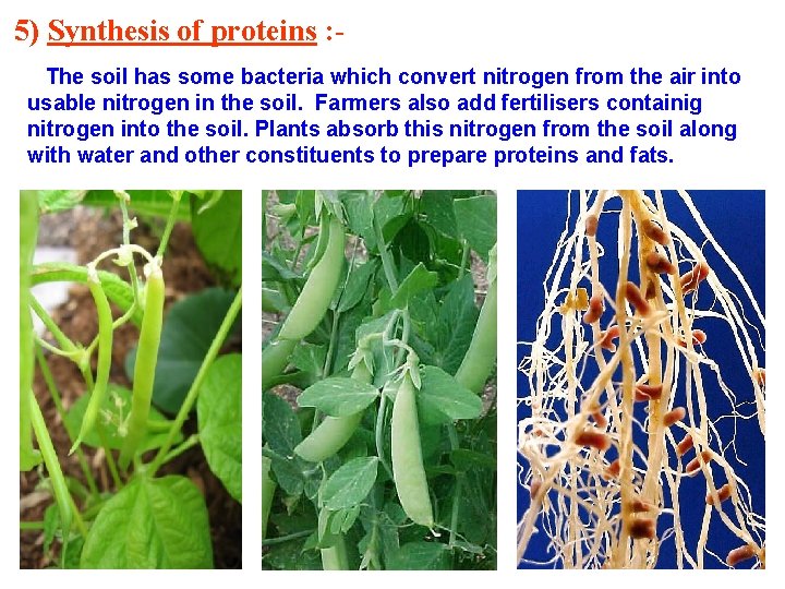 CHAPTER 1 NUTRITION IN PLANTS 1 Nutrients The
