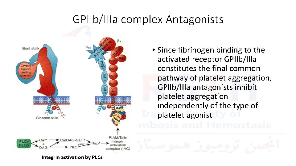 Platelet role in Hemostasis Peyman Eshghi Prof of