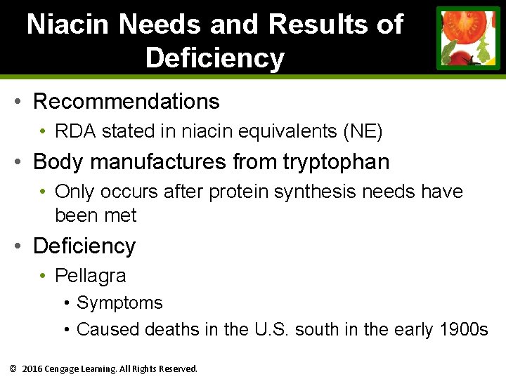 The WaterSoluble Vitamins B Vitamins and Vitamin C