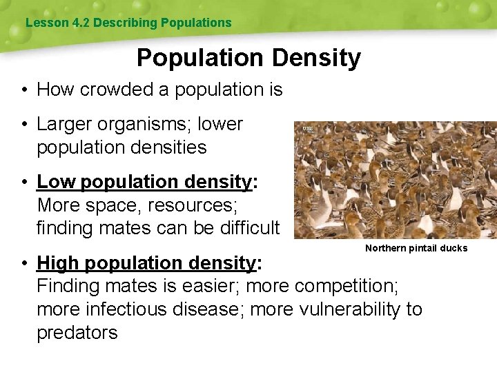 Lesson 4 2 Describing Populations 1900 to 2000