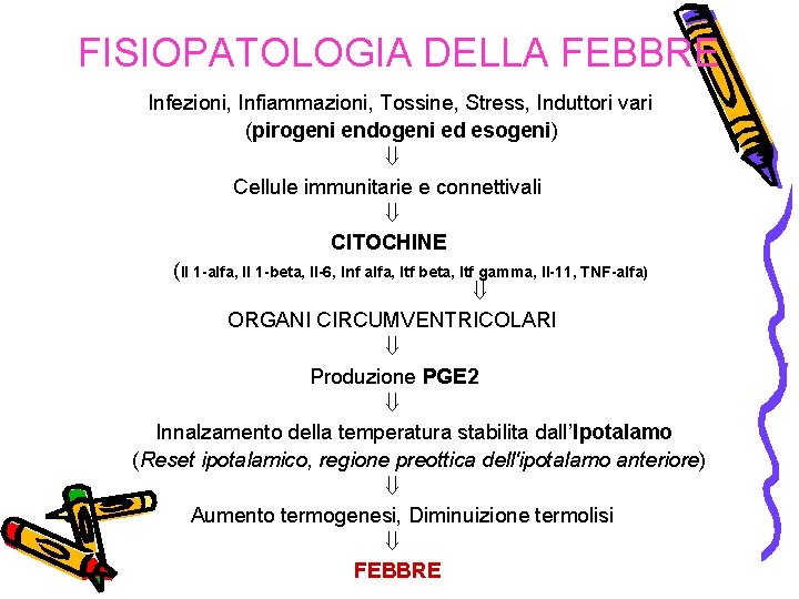 LA FEBBRE TEMPERATURA CORPOREA La temperatura corporea viene