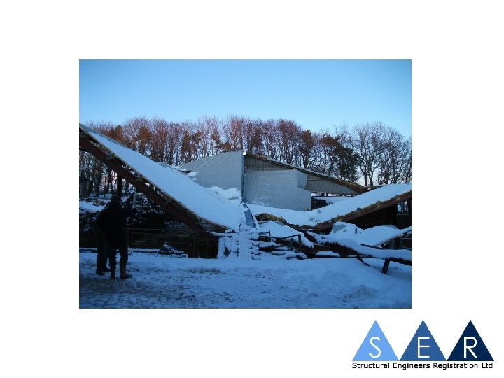 Recent Experience on Building Collapses under Snow Loads