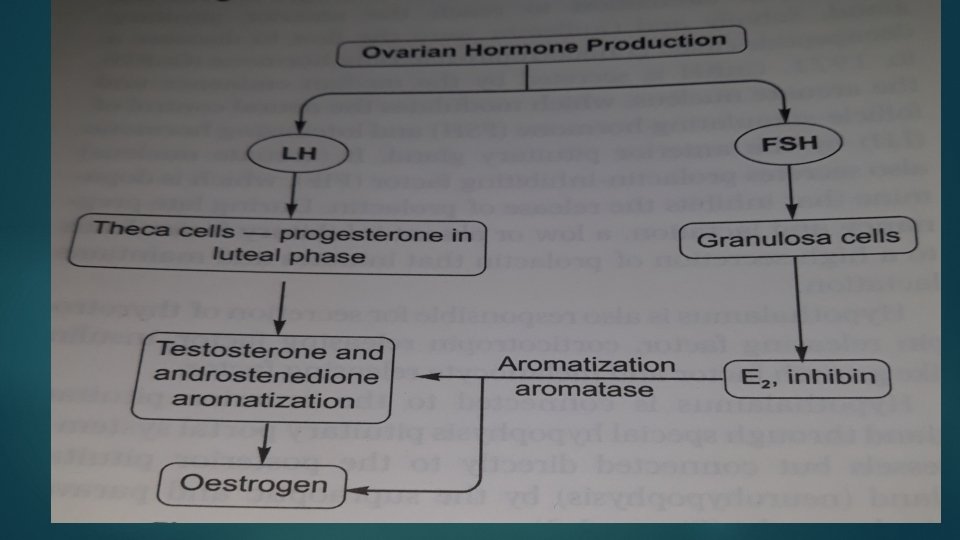 Luteal phase deficiency HOMA MIRZADA PANAH outline Definitions