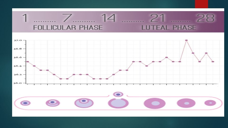 Luteal phase deficiency HOMA MIRZADA PANAH outline Definitions