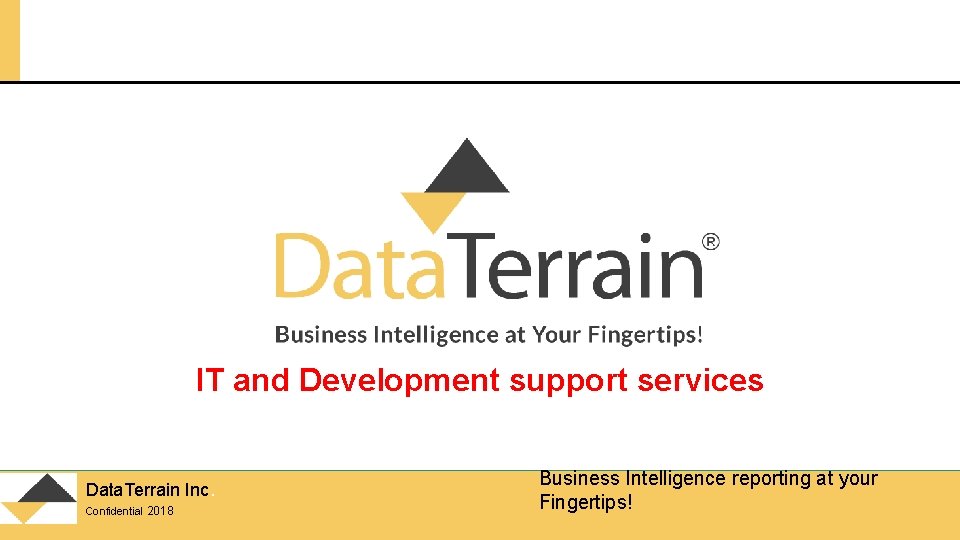 IT and Development support services Data Terrain Inc