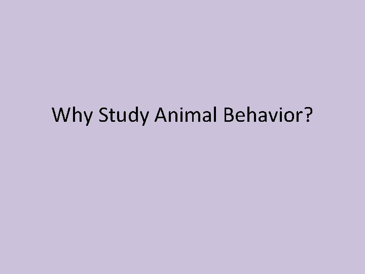 Animal Behavior Why do we study it What