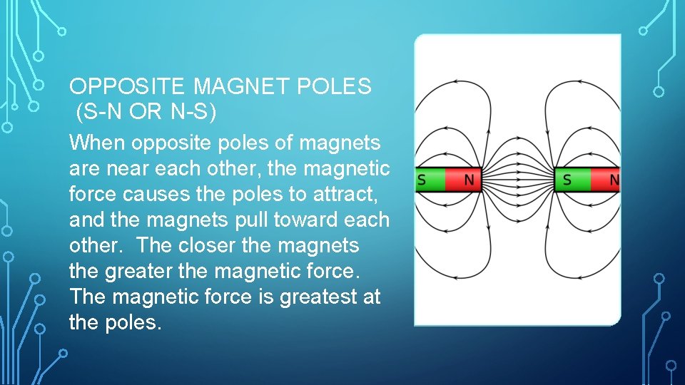 FORCES AND MOTION CREATED BY PHYLLIS WILLIAMS WHAT