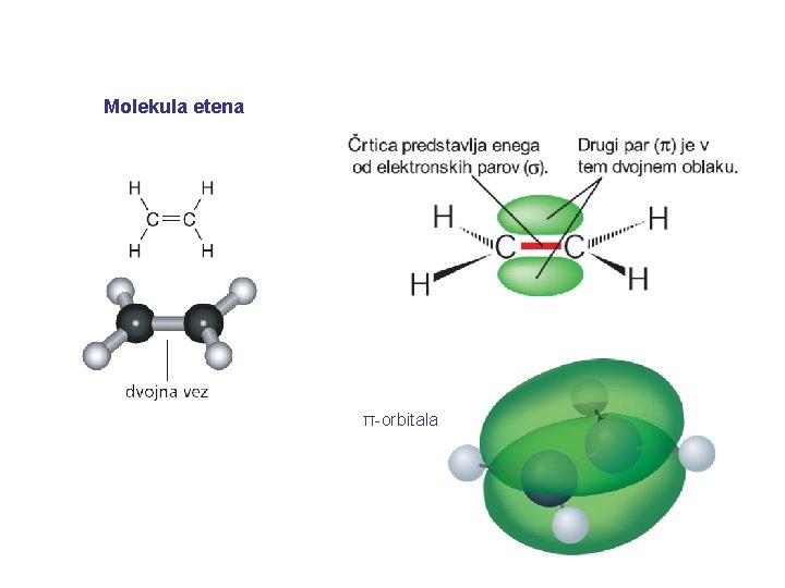 1 ZGRADBA MOLEKUL ORGANSKIH SPOJIN Wohlerjeva sinteza senine