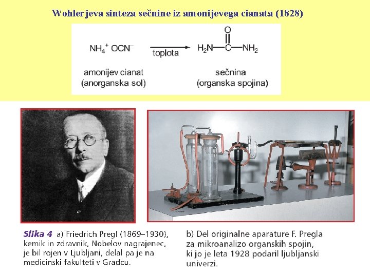 1 ZGRADBA MOLEKUL ORGANSKIH SPOJIN Wohlerjeva sinteza senine