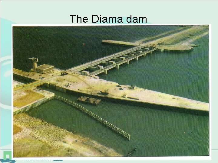 Water for ecosystems Application of environmental flows for