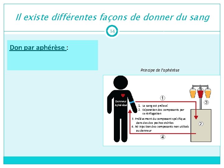 La chane transfusionnelle 1 DU DONNEUR AU RECEVEUR