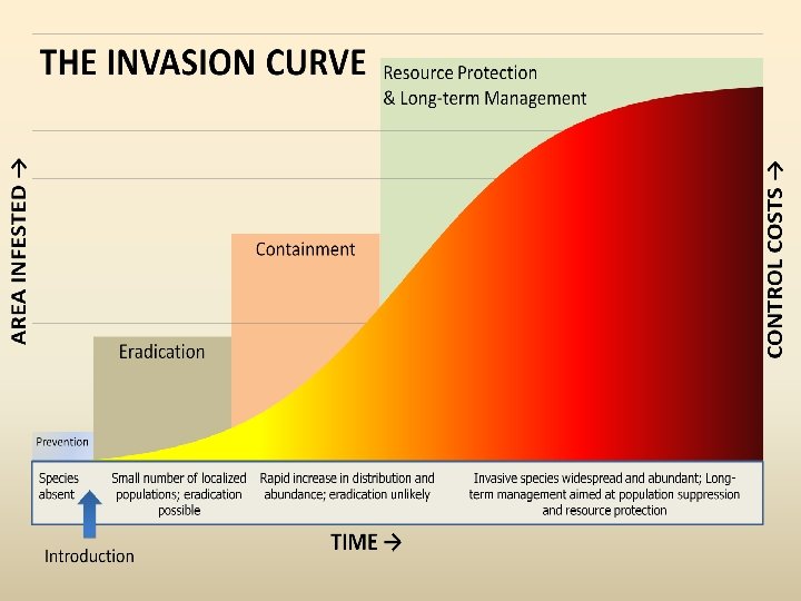Invasive Exotic Species Strategic Action Framework Carrie Beeler