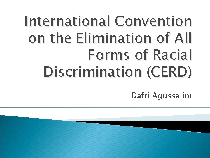 International Convention on the Elimination of All Forms