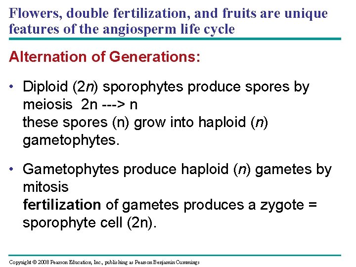 Chapter 38 Angiosperm Reproduction and Biotechnology Power Point