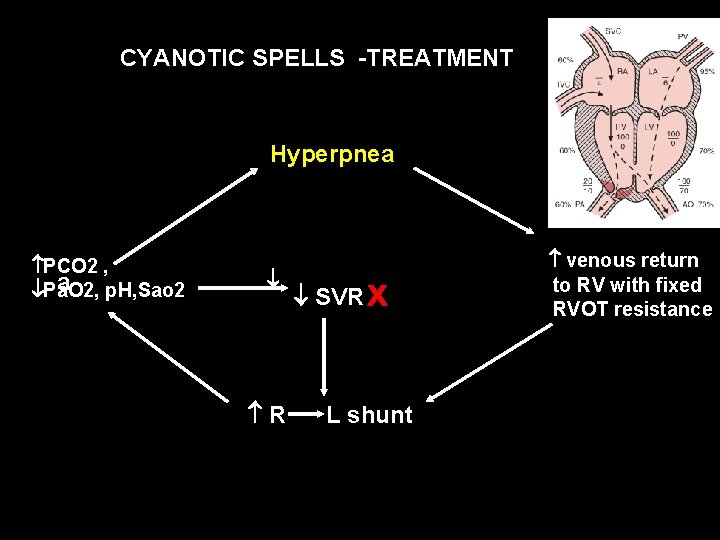 CYANOTIC SPELLS paroxysmal hyperpnea hypoxic spells anoxic spells
