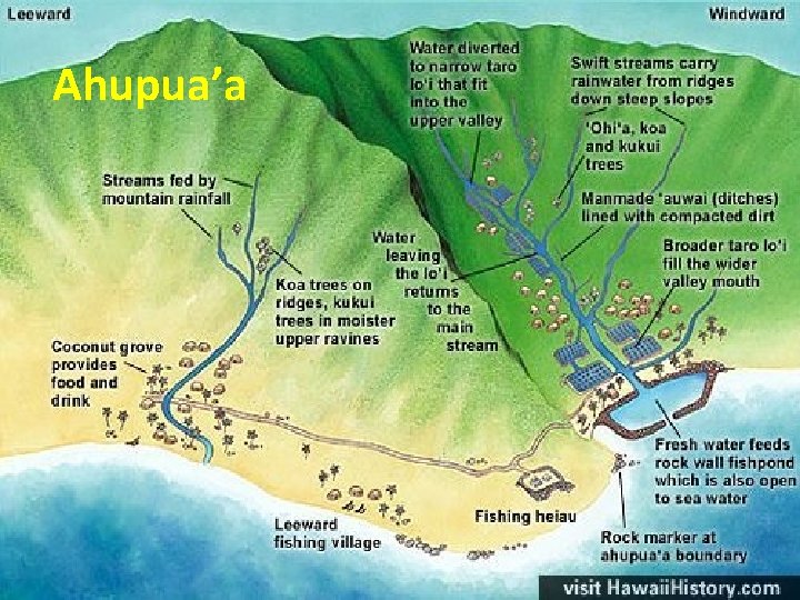 Hawaii the 50 th State By Leslie Ann