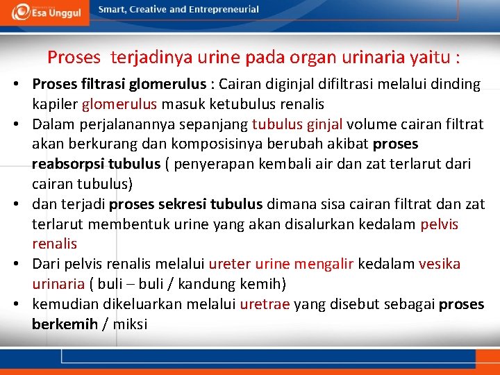 PATOFISIOLOGI 3 PERTEMUAN 1 Dr NOOR YULIA MM