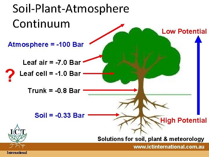 Plant and Soil Water Potential INTERNATIONAL Solutions for
