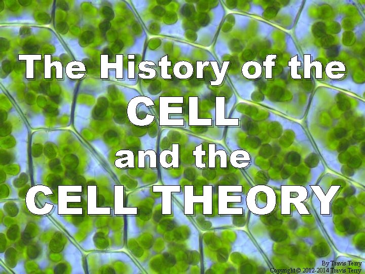 The History of the CELL and the CELL