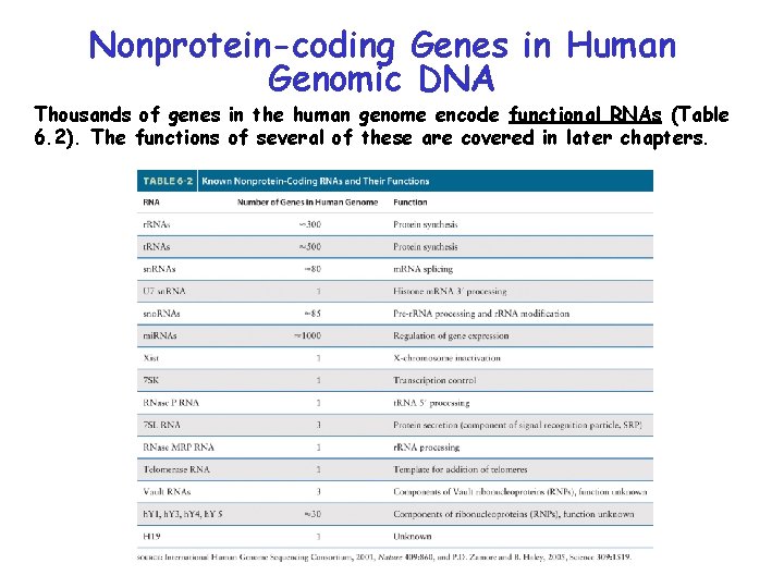 Genes Genomics and Chromosomes Topics Eukaryotic Gene Structure