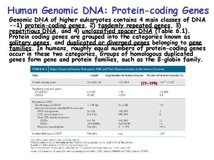 Genes Genomics and Chromosomes Topics Eukaryotic Gene Structure