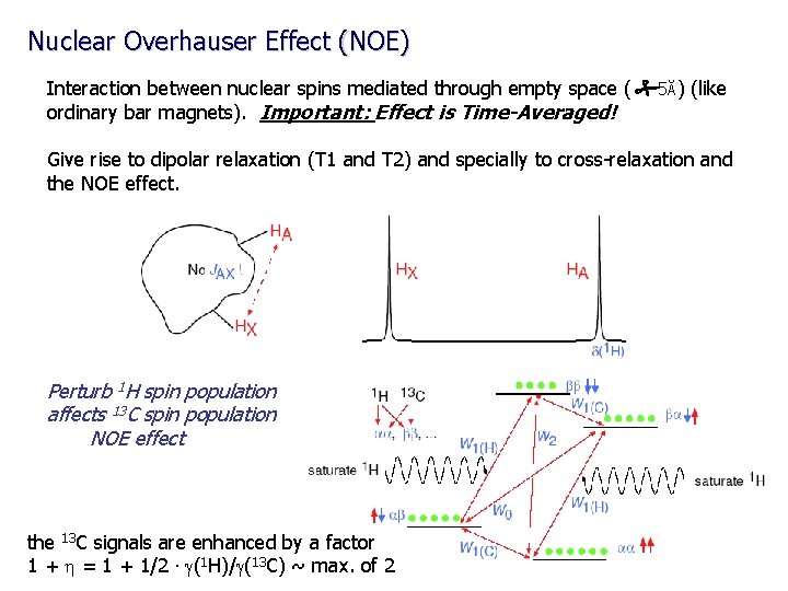 Nuclear Magnetic Resonance NMR Probe the Composition Structure