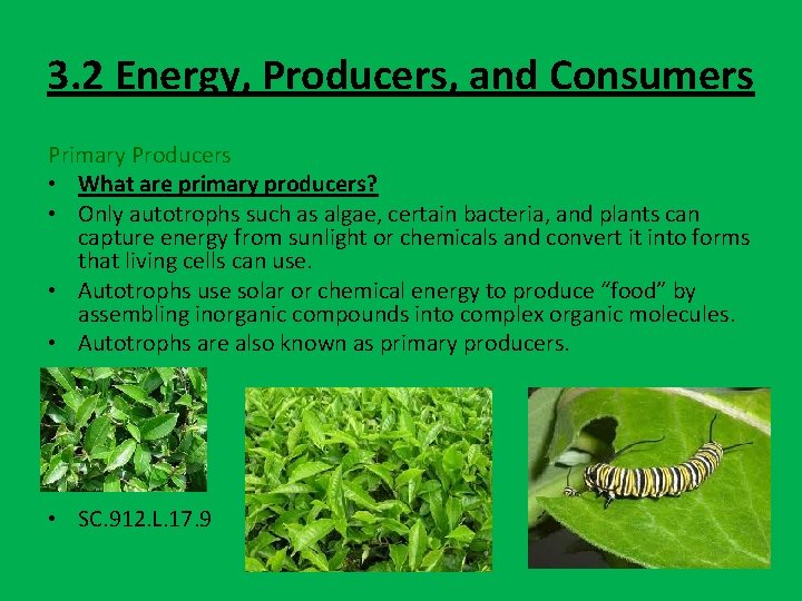 Chapter 3 The Biosphere 3 1 What is