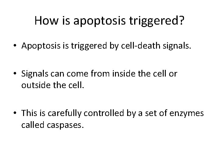 Apoptosis Programmed Cell Death Unit 1 Cells and