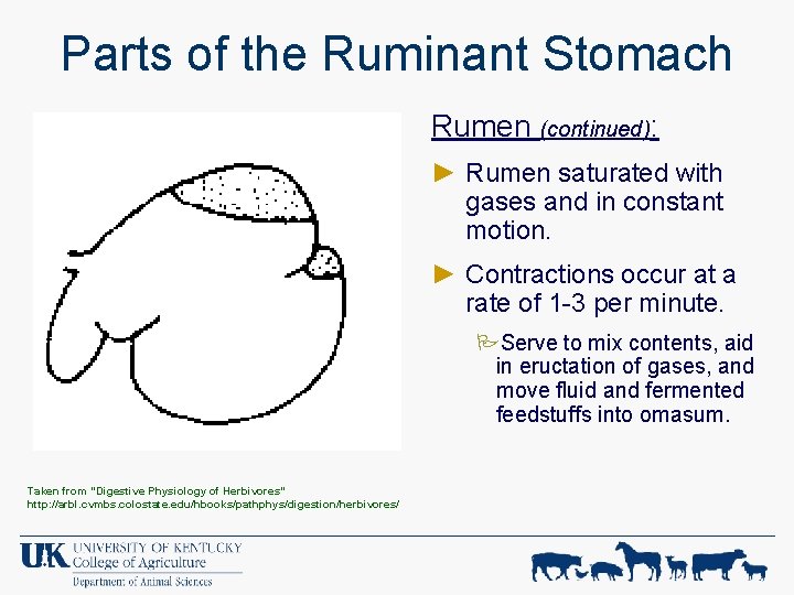 Digestive Physiology of Farm Animals Dr Richard Coffey