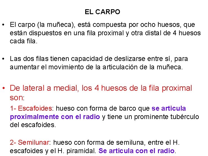 EL CARPO El carpo la mueca est compuesta