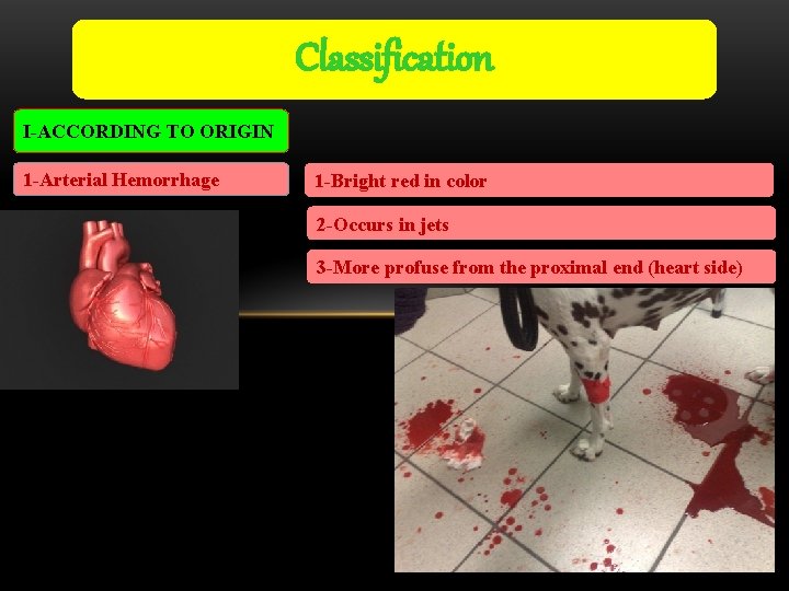 HEMORRHAGE AND HEMOSTASIS Classification IACCORDING TO ORIGIN 1