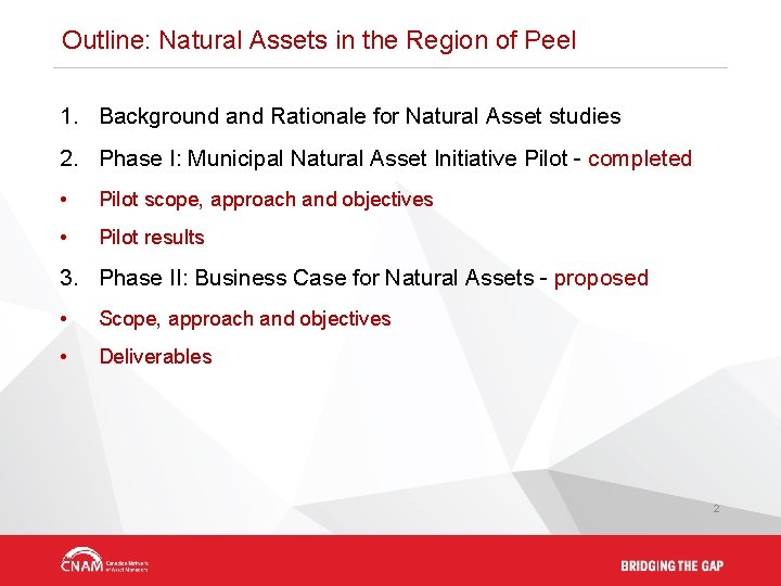 Business Case for Natural Assets in the Region
