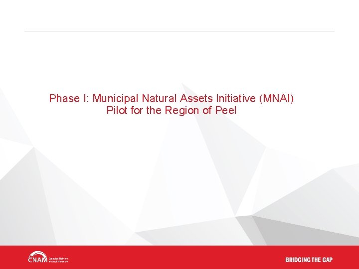 Business Case for Natural Assets in the Region