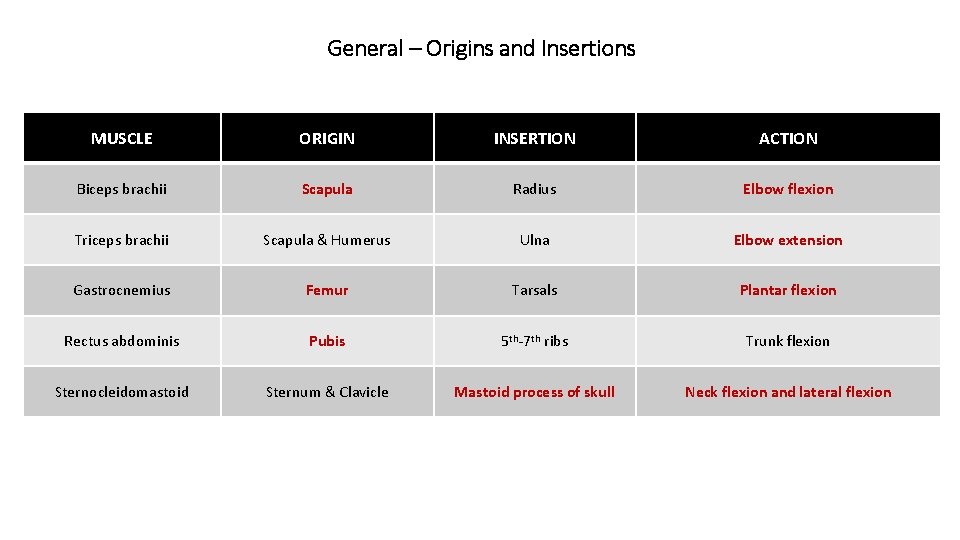 MUSCLE Pectoralis major Honors Origins INSERTION and Insertions
