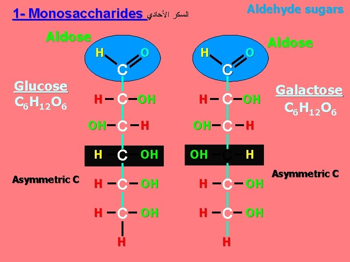 1 THE STRUCTURE AND FUNCTION OF MACROMOLECULES Polymer