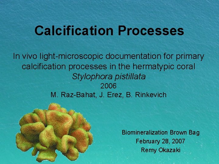 Calcification Processes In vivo lightmicroscopic documentation for primary