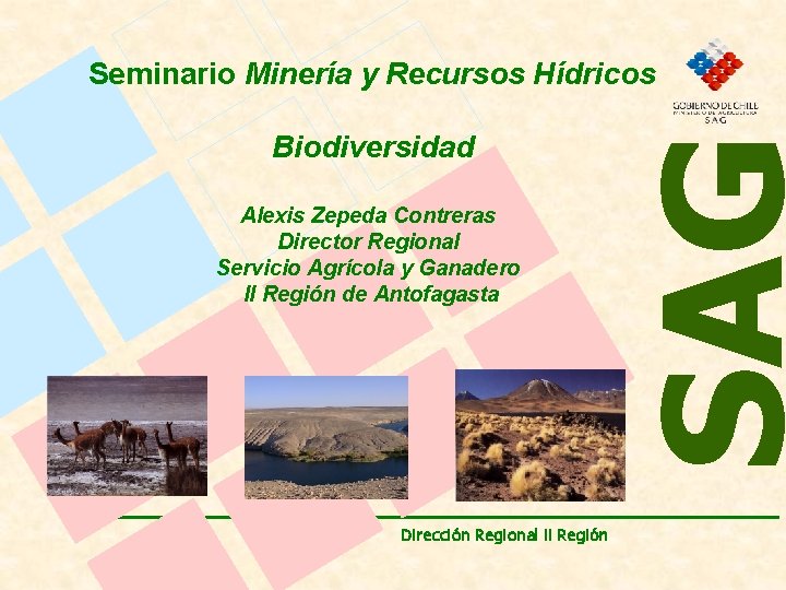 Biodiversidad Alexis Zepeda Contreras Director Regional Servicio Agrcola