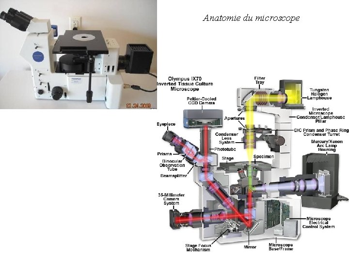 Le MICROSCOPIE OPTIQUE champ lointain Beaucoup dimages et
