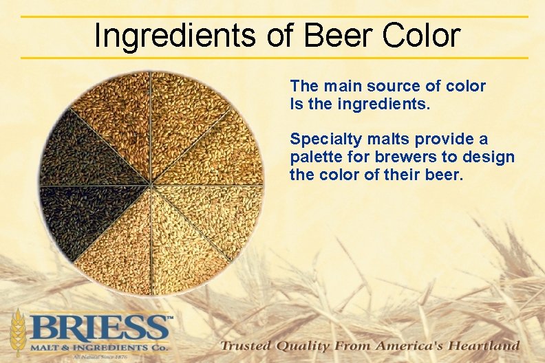 Wort and Malt Extract Color Development Bob Hansen