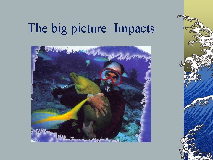 Tourism Recreation Coral Reefs Elizabeth Halpenny Nature Tourism