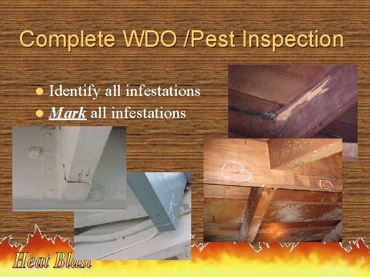 THERMAL TERMITE ERADICATION Bryan E Houtchens Team Too