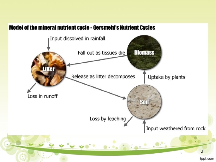 Ecology and Environmental Biology Dr Nket BLGEN Decomposition