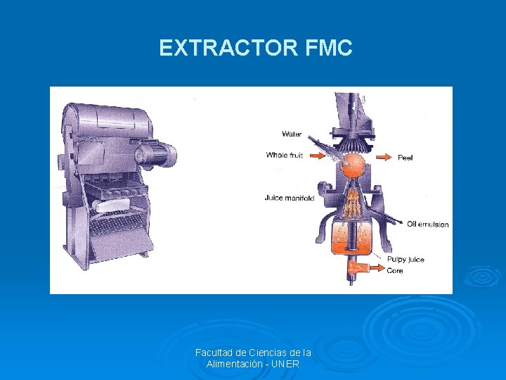 CURSO DE TECNOLOGA DE CITRUS Descripcin de Procesos